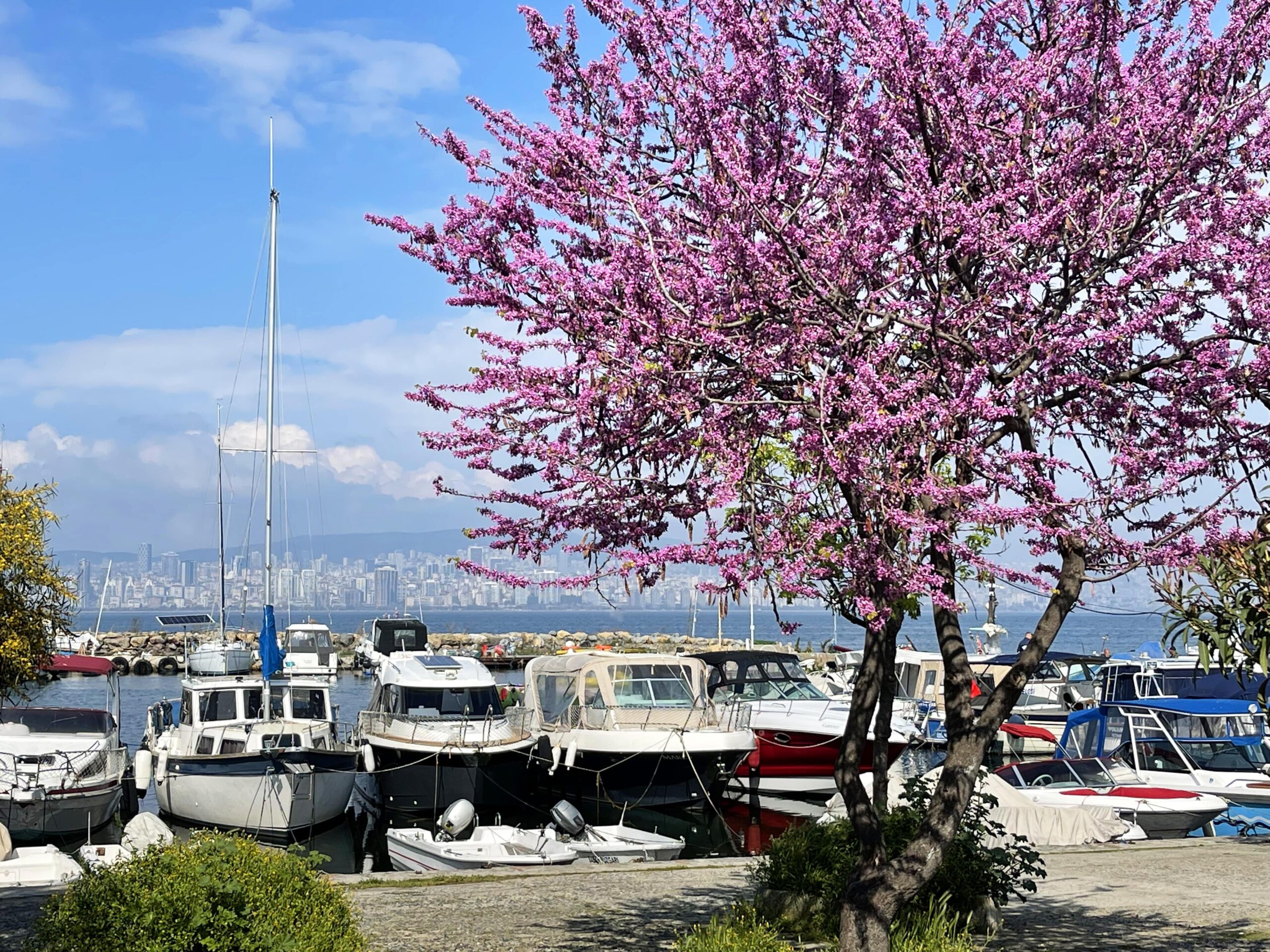 Spring Boat Checklist | Preparing for Preseason